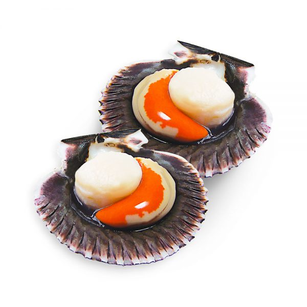 Frozen Scallop Roe On / Off, I.Q.F. | Coinrefri SRL